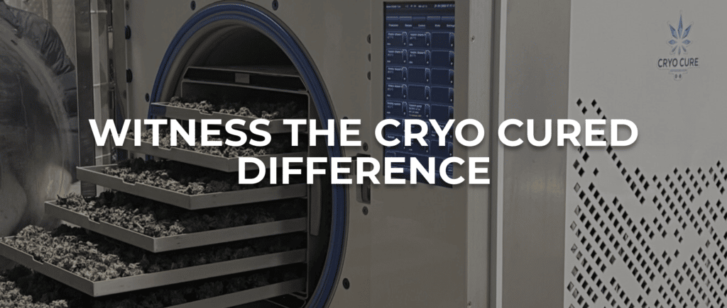 This Newly Patented System Promises To Revolutionize Cannabis Drying ...